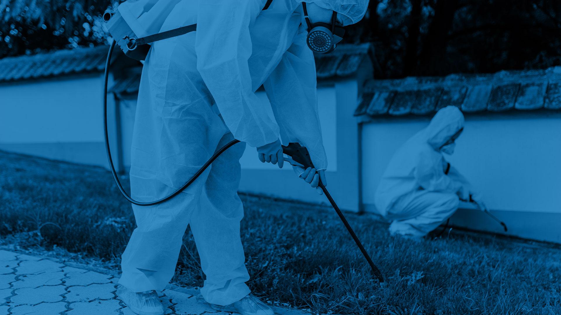 What Steve’s Pest Control Of Columbia, Missouri Can Teach Madison ...